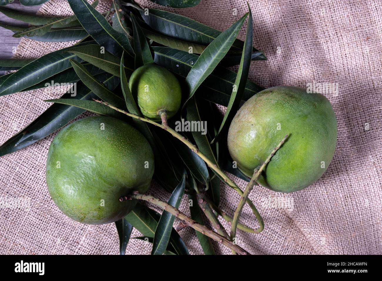 Mango plantation hi-res stock photography and images - Alamy