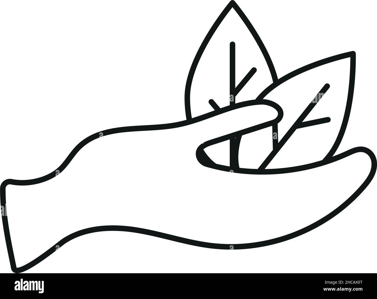 hand holding leaves over white background Stock Vector Image & Art - Alamy