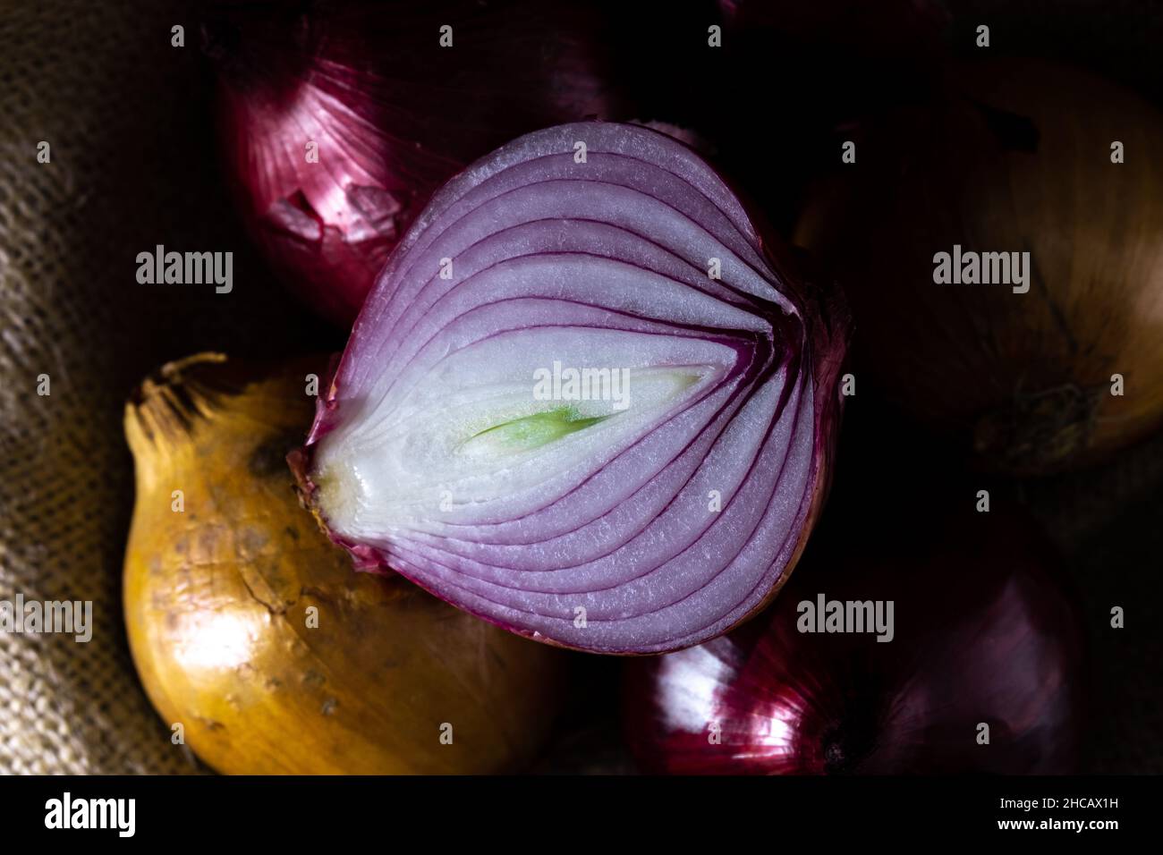 Purple onion hi-res stock photography and images - Alamy