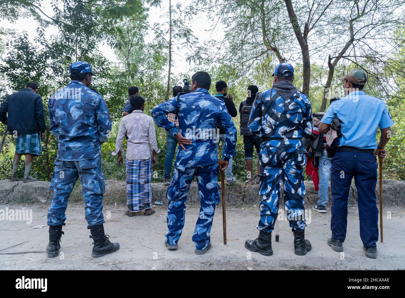 Bengal tiger india guard hi-res stock photography and images - Alamy