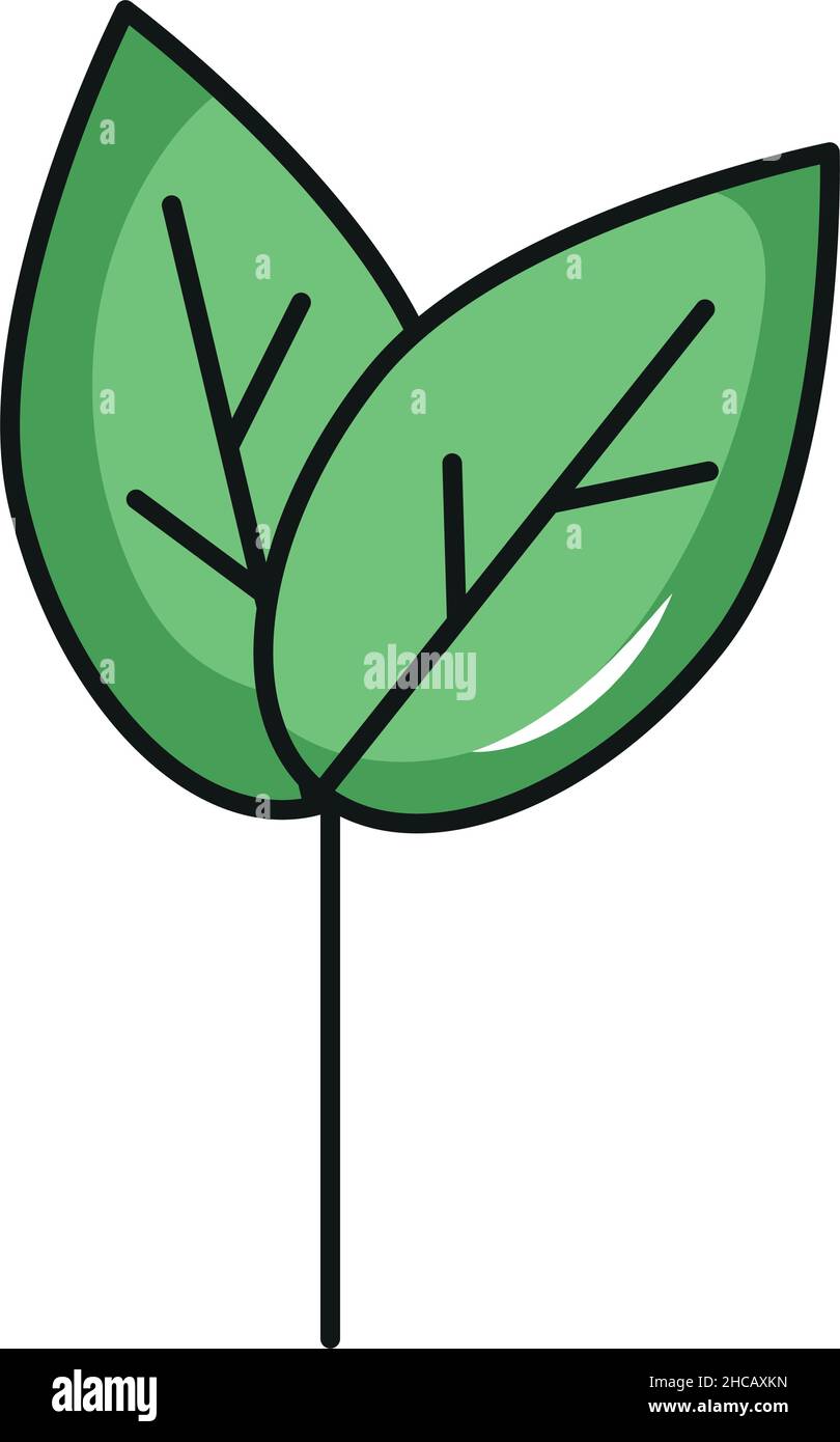 leaves plant icon on white background Stock Vector Image & Art - Alamy