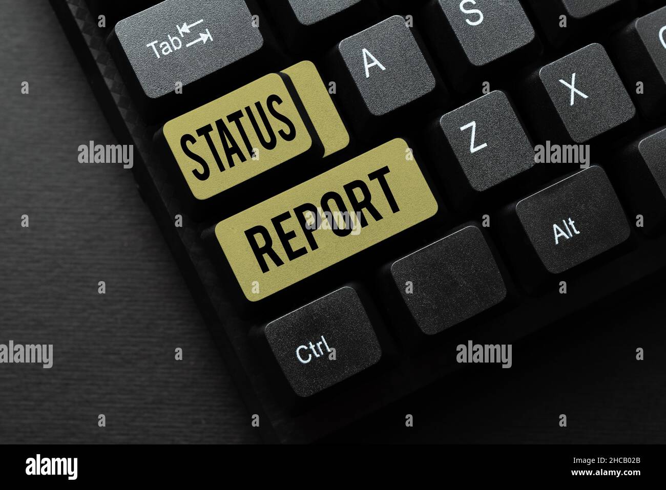 Conceptual caption Status Report. Word Written on Update Summary of ... Conceptual caption Status Report. Word Written on Update Summary of ...
