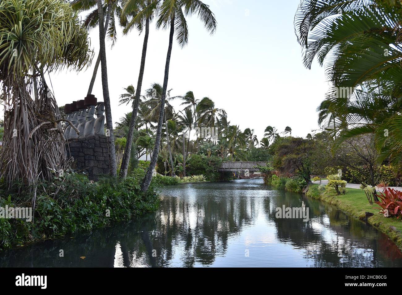 Polynesian island celebration hi-res stock photography and images - Alamy