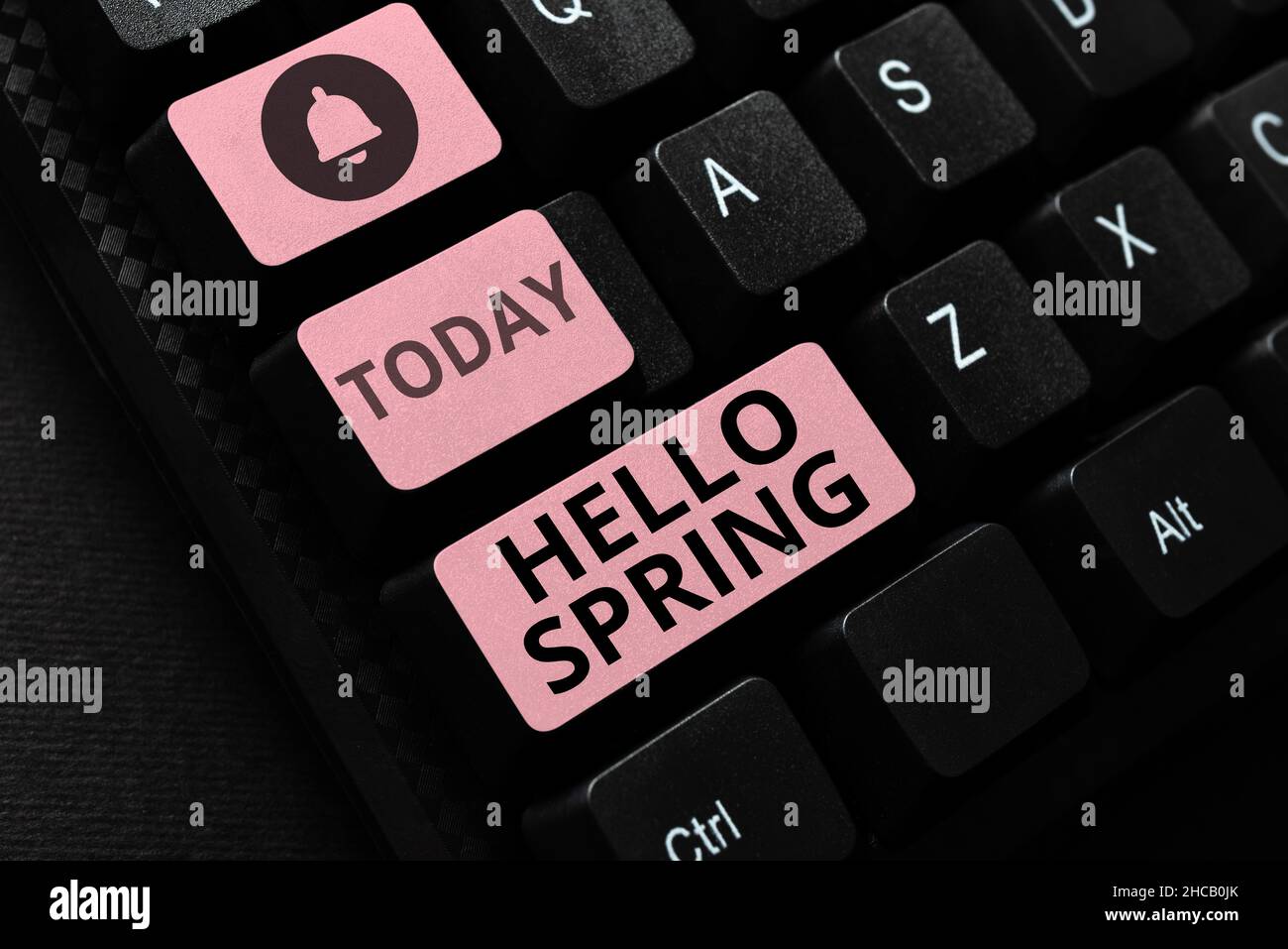 Conceptual caption Hello Spring. Concept meaning Welcoming the season ...