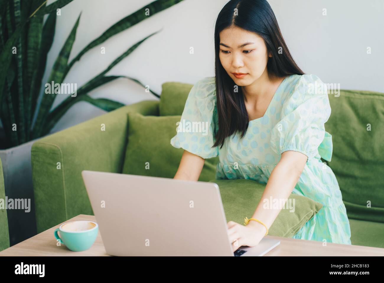 Beautiful women use laptop in modern cafe work from home Stock Photo ...