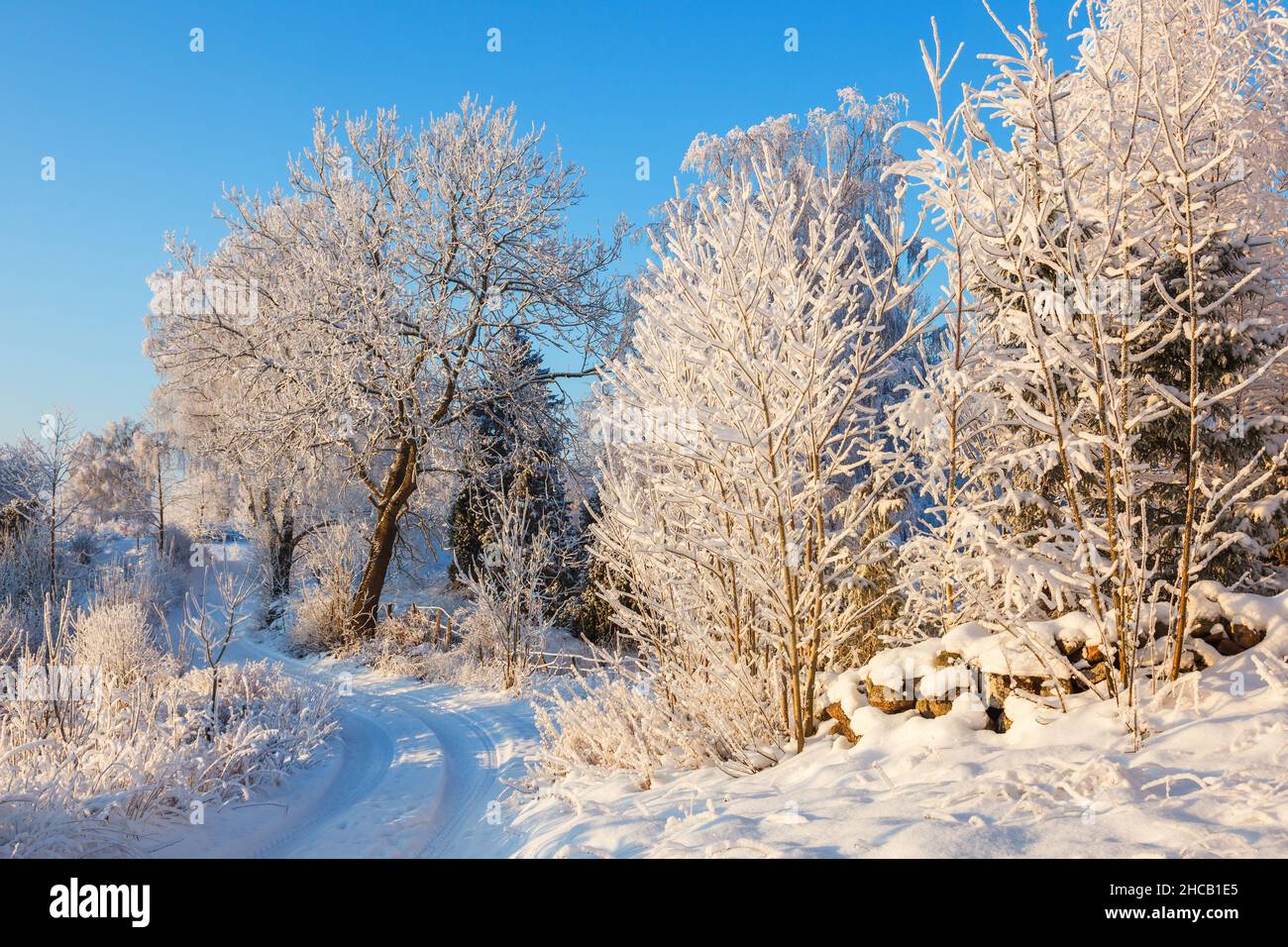 Idyllic winter landscape with a winding road Stock Photo - Alamy