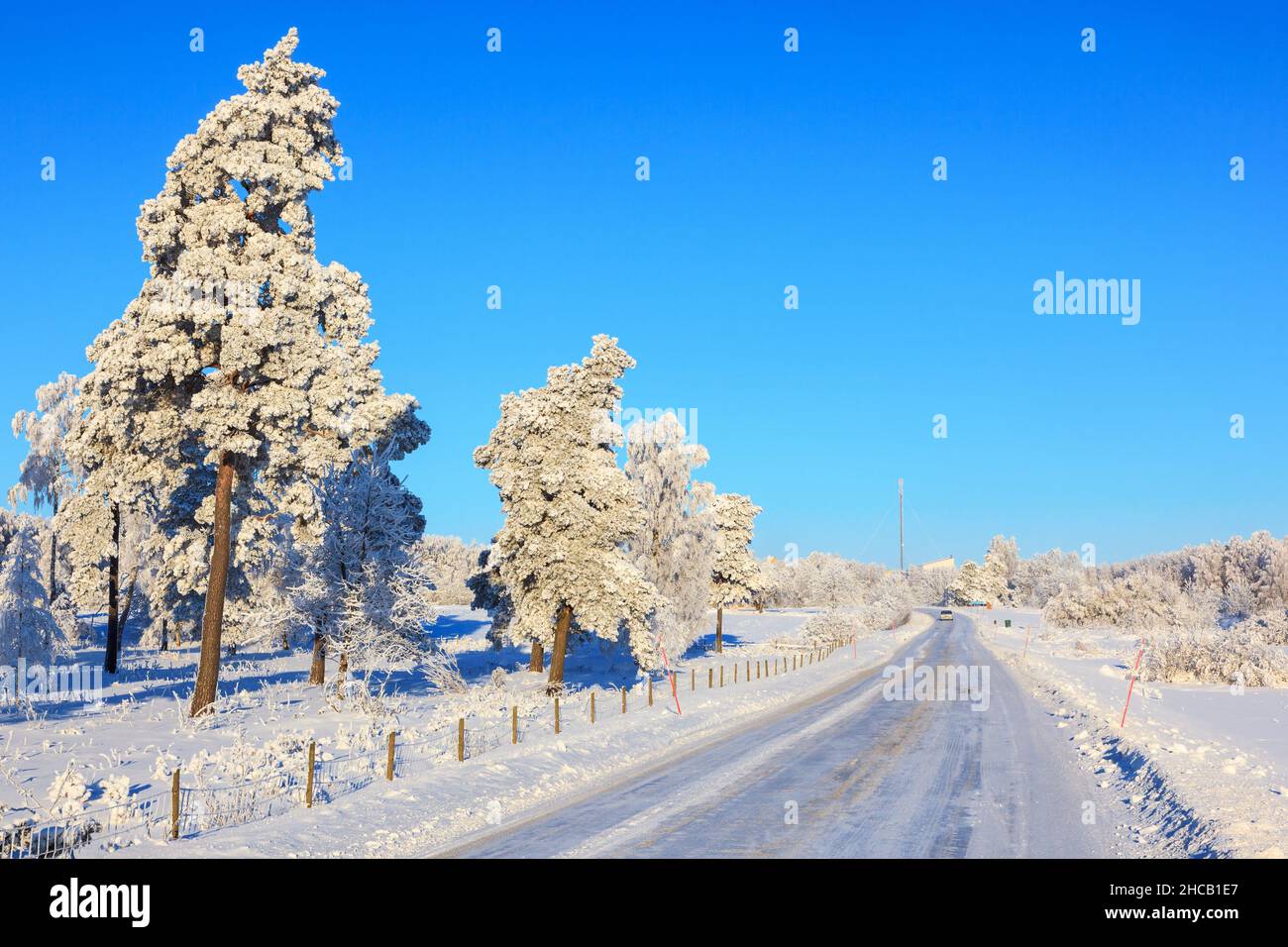 Winter road in snowy landscape Stock Photo - Alamy