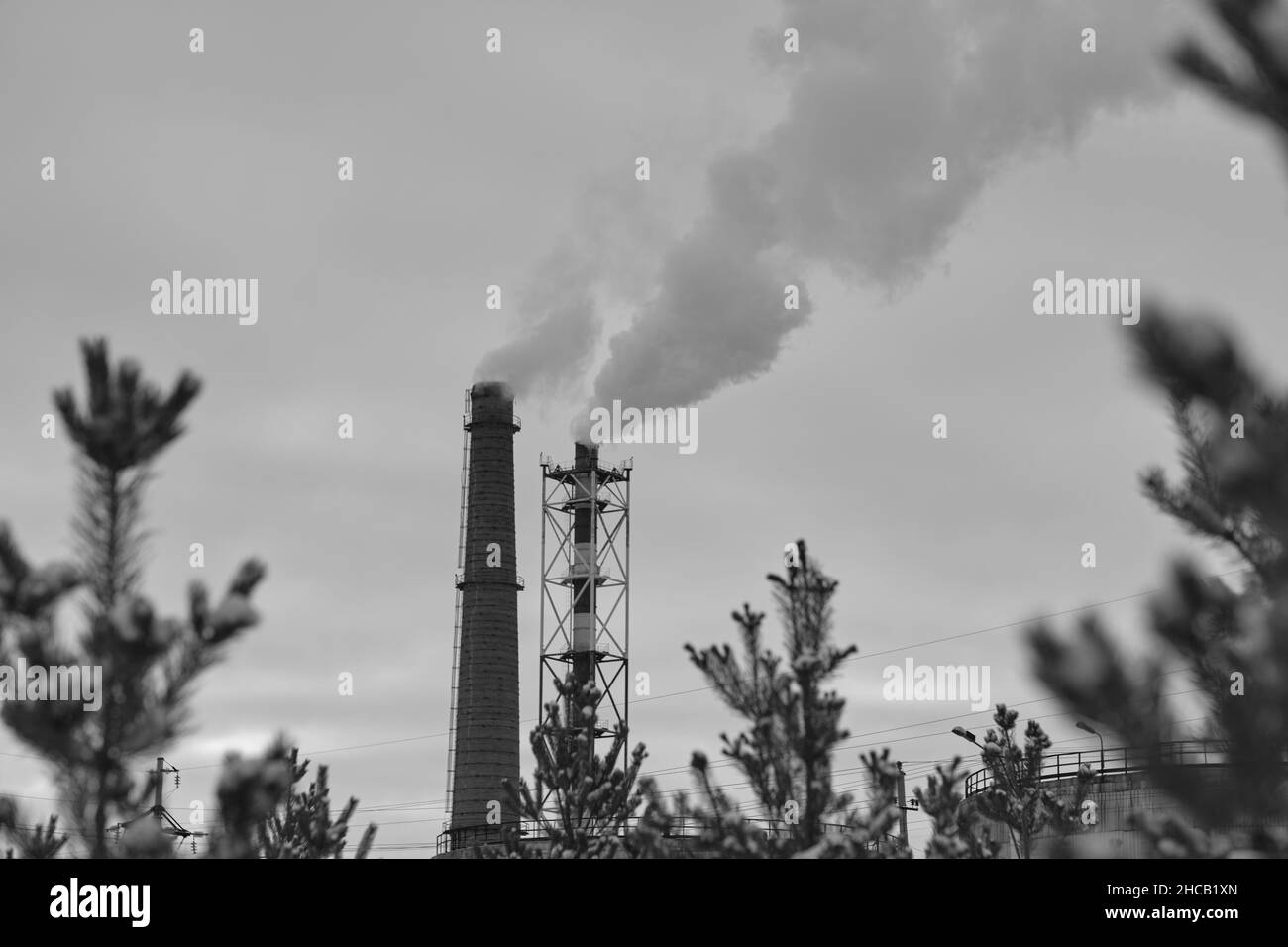 Two industrial pipes smoking with smoke against background pine winter ...