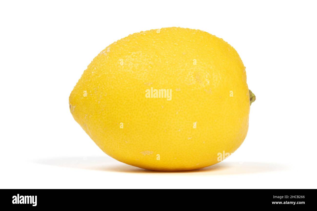 Lemon with waterdrops, isolated on white background Stock Photo - Alamy