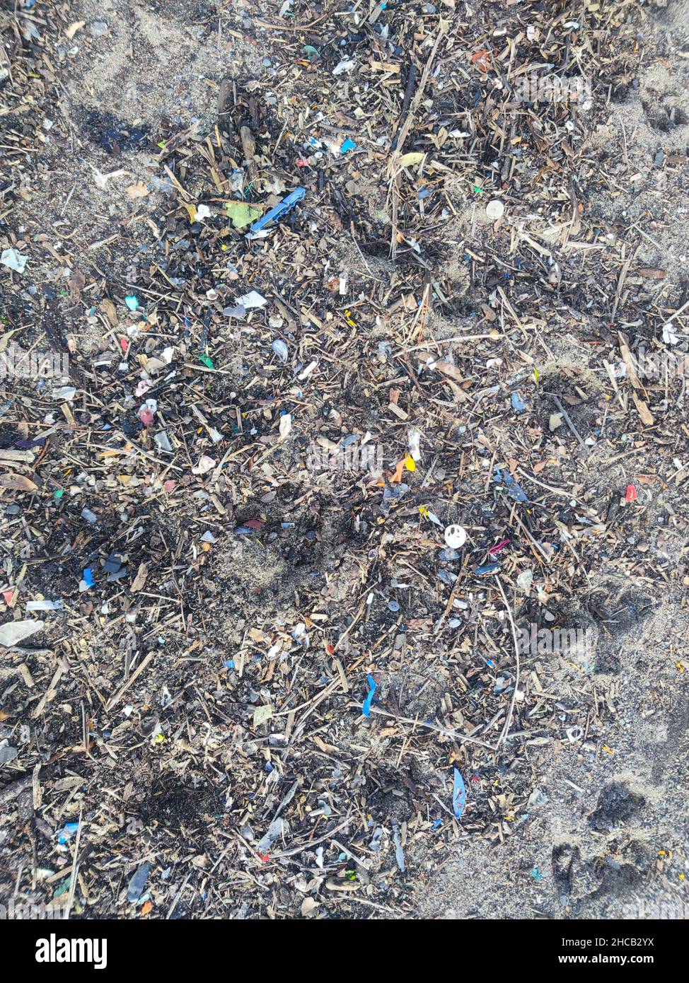 Plastic waste rubbish garbage on the sandy beach Stock Photo - Alamy