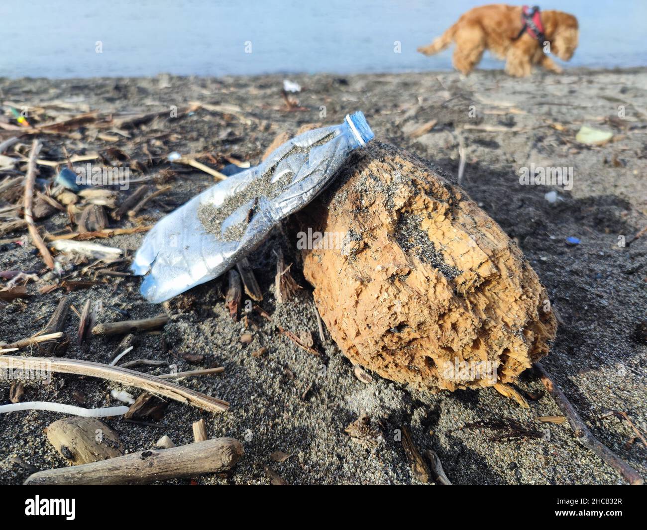 Plastic waste rubbish garbage on the sandy beach Stock Photo - Alamy
