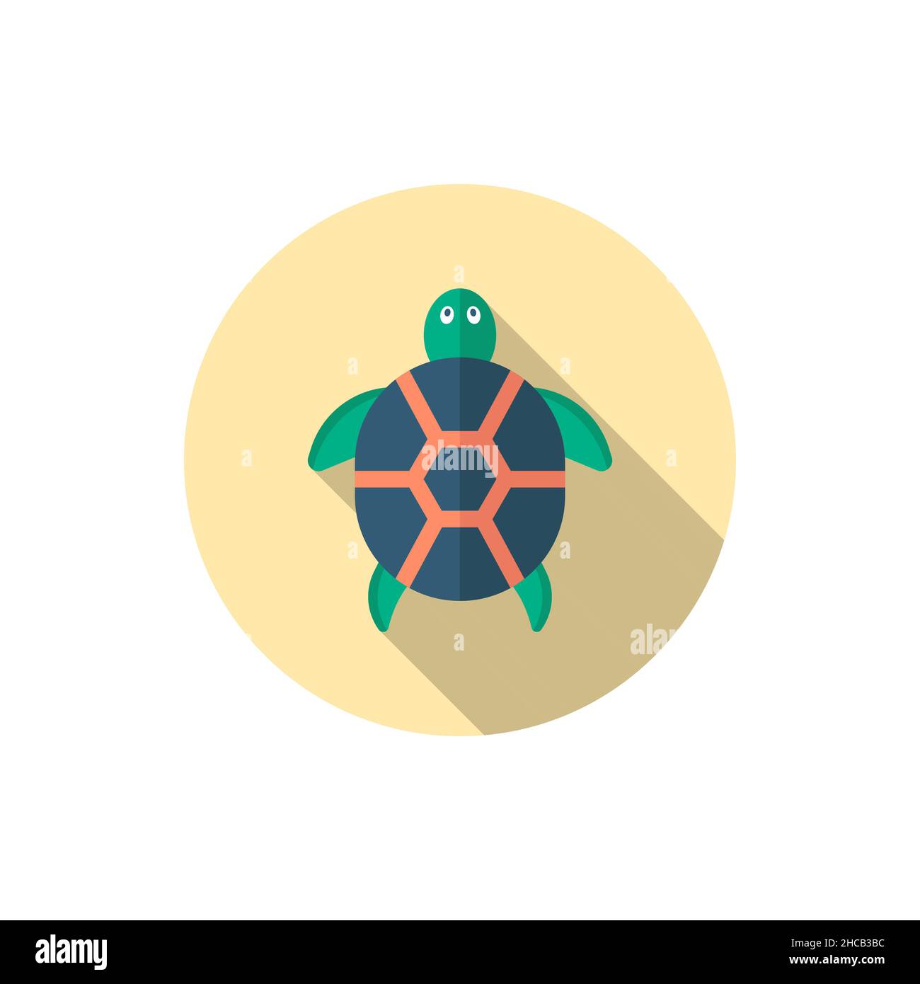 Turtle shadow Cut Out Stock Images & Pictures - Alamy