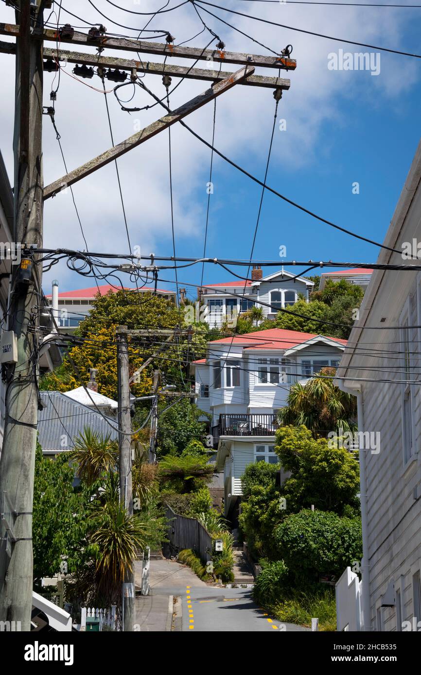 Houses on hillside above Aro Street, Wellington, North Island, New ...