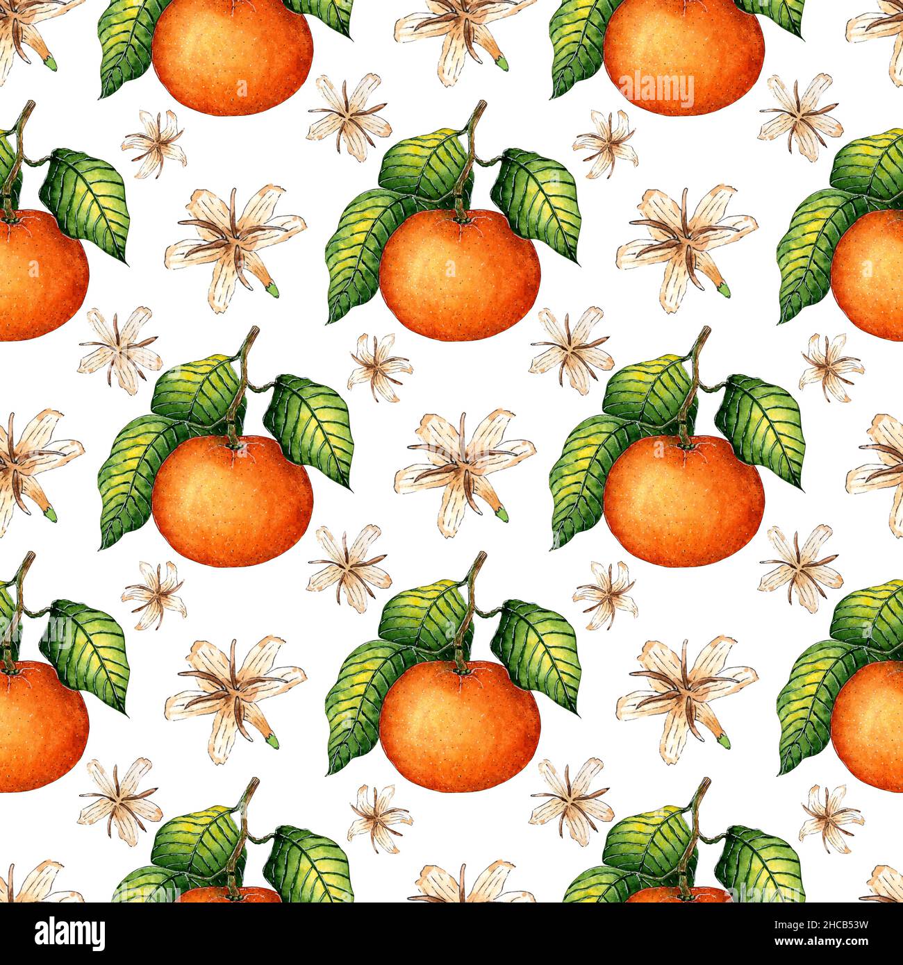 Watercolor painting pattern of ripe tangerines with green leaves and ...