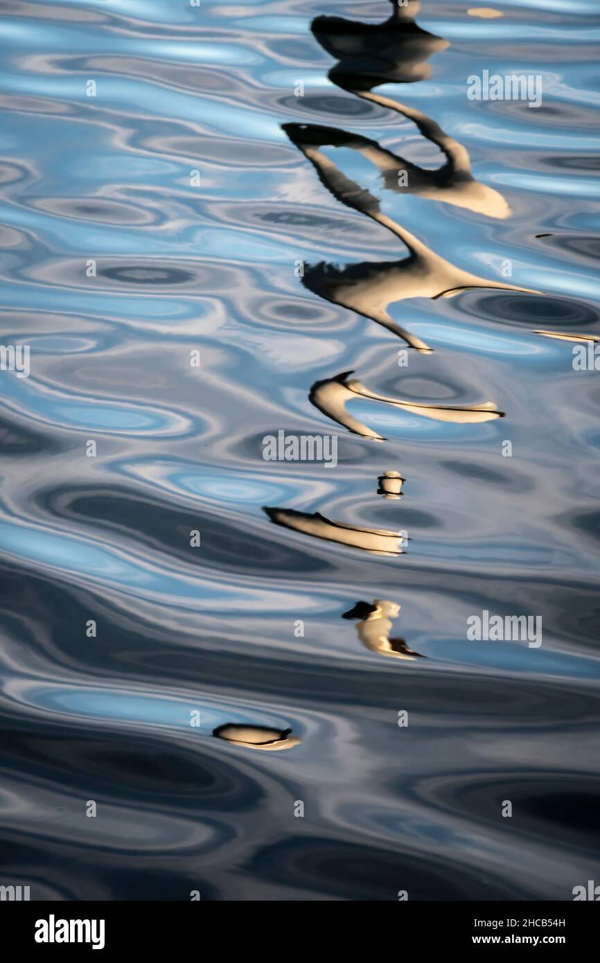 Water distortion hi-res stock photography and images - Alamy