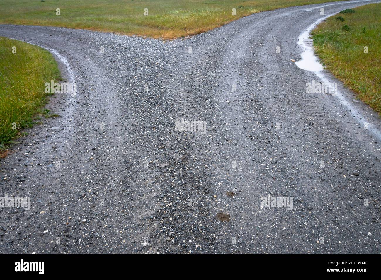 Diverging path hi-res stock photography and images - Alamy