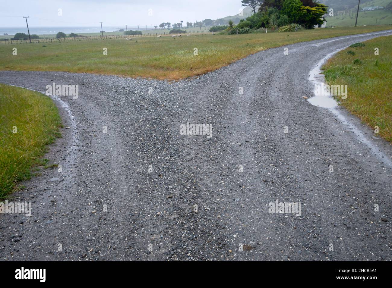 Diverging farm tracks, Glenburn, Wairarapa, North Island, New Zealand ...