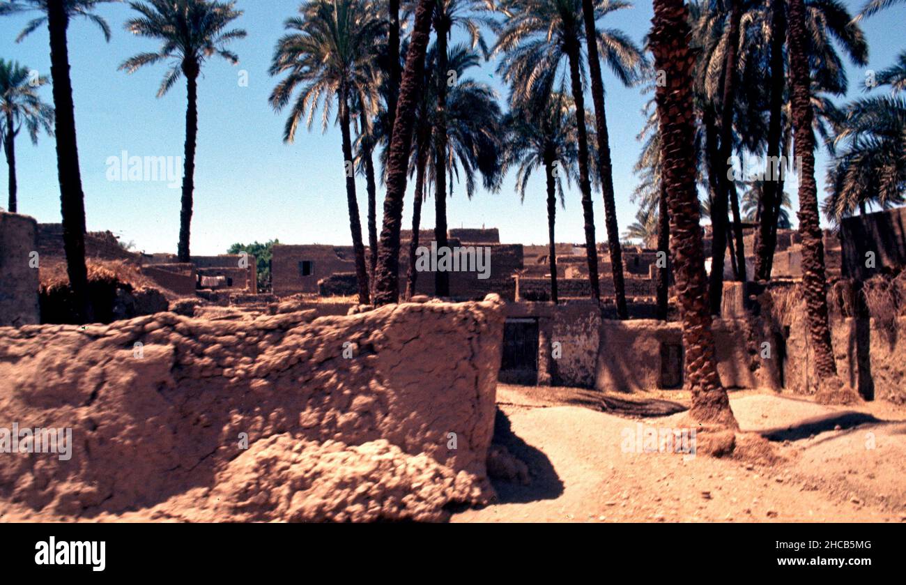 ZONA CON PALMERAS Y CONSTRUCCIONES DE ADOBE - FOTO AÑOS 70. Location ...