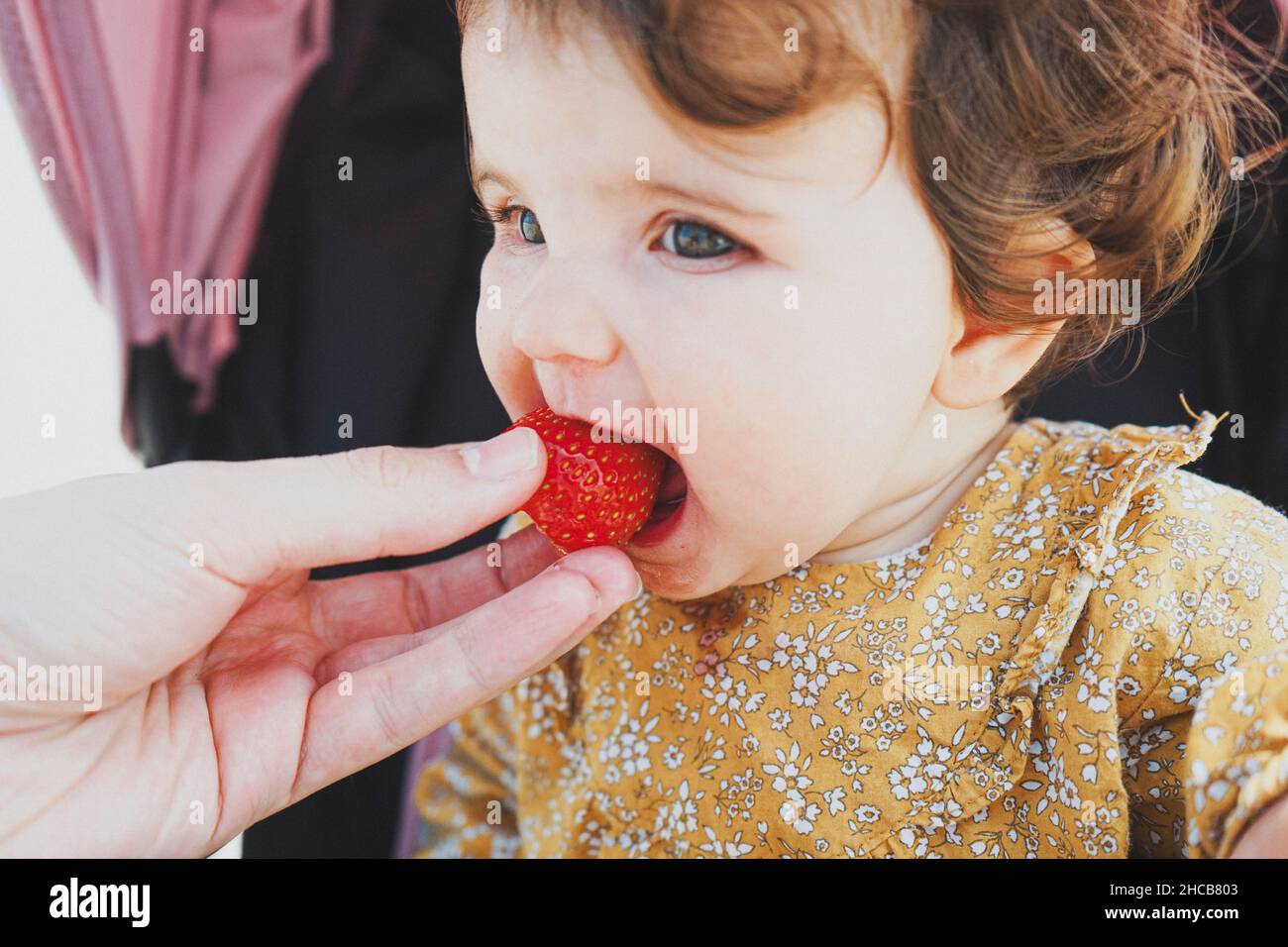 Little baby girl eating a strawberry Stock Photo - Alamy
