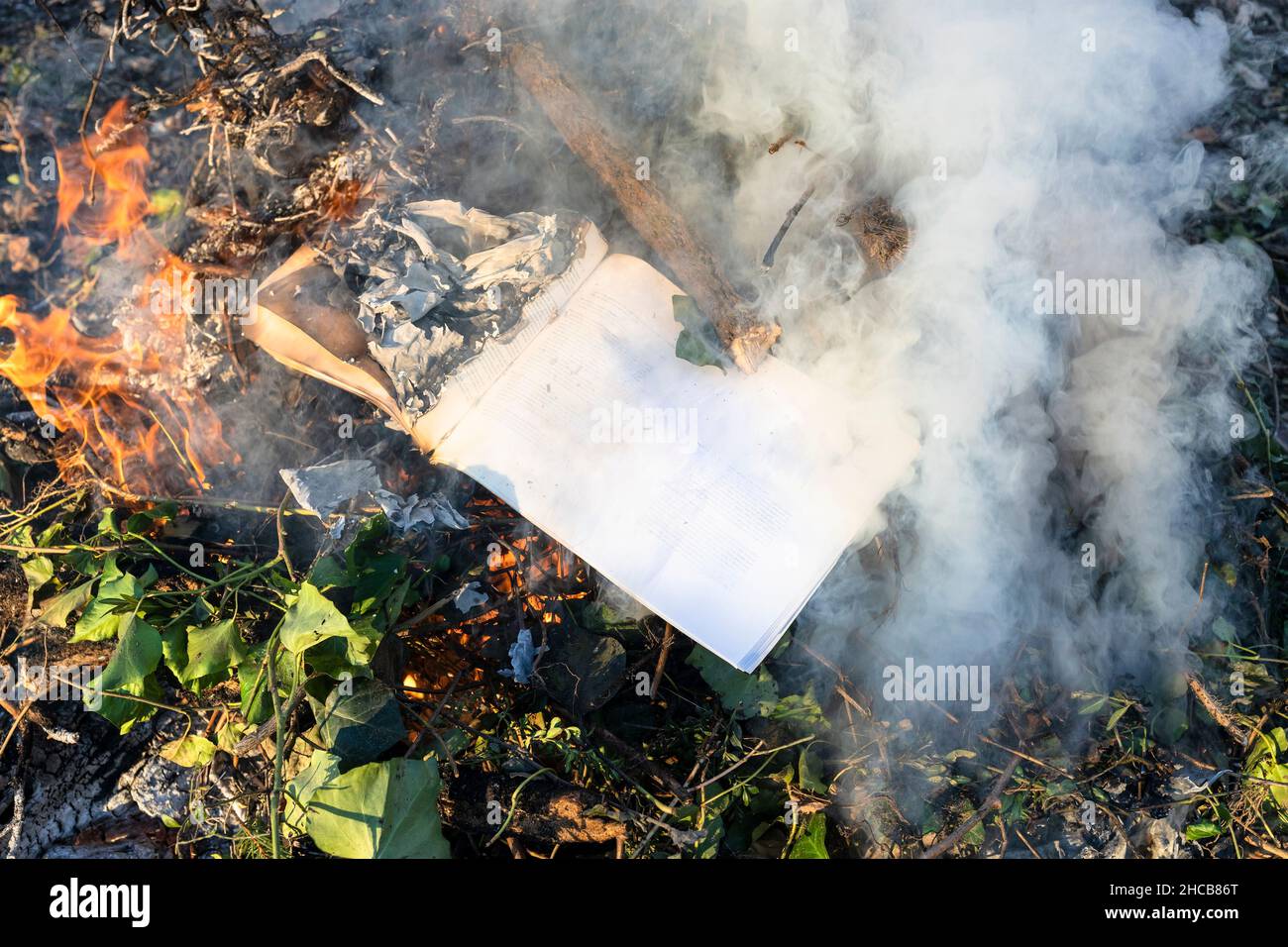burning book in fire on pile of trimmed branches in country garden on ...