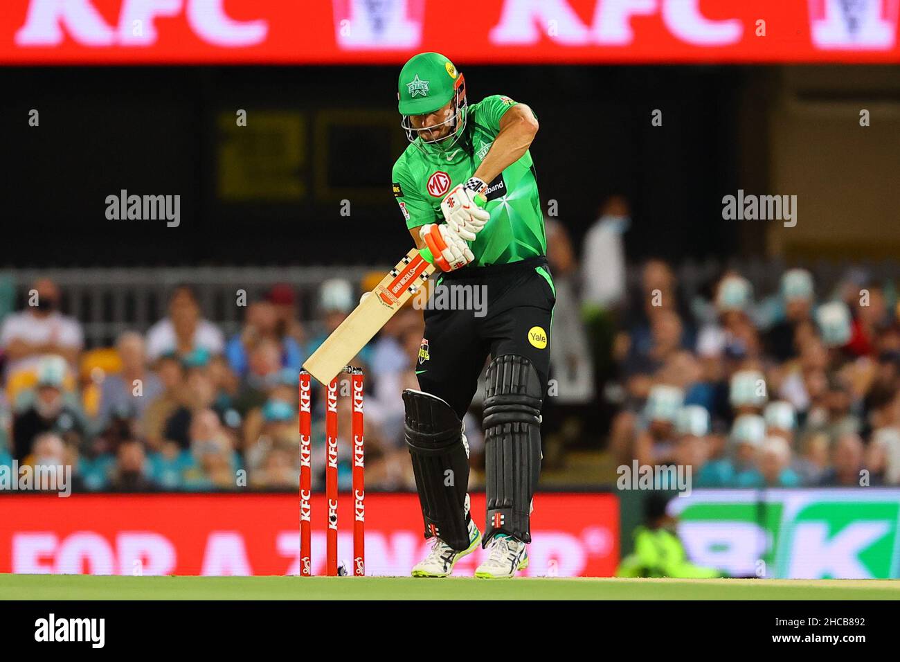 Mark steketee of the brisbane heat hi-res stock photography and images ...