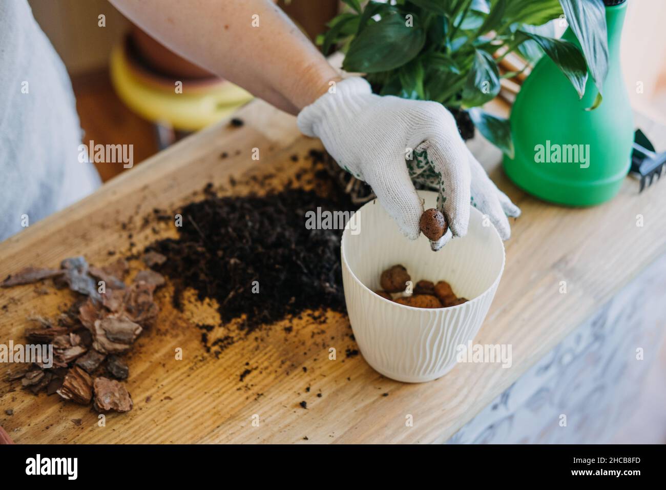 Spring Houseplant Care, repotting houseplants. Planting Houseplants In ... Spring Houseplant Care, repotting houseplants. Planting Houseplants In ...