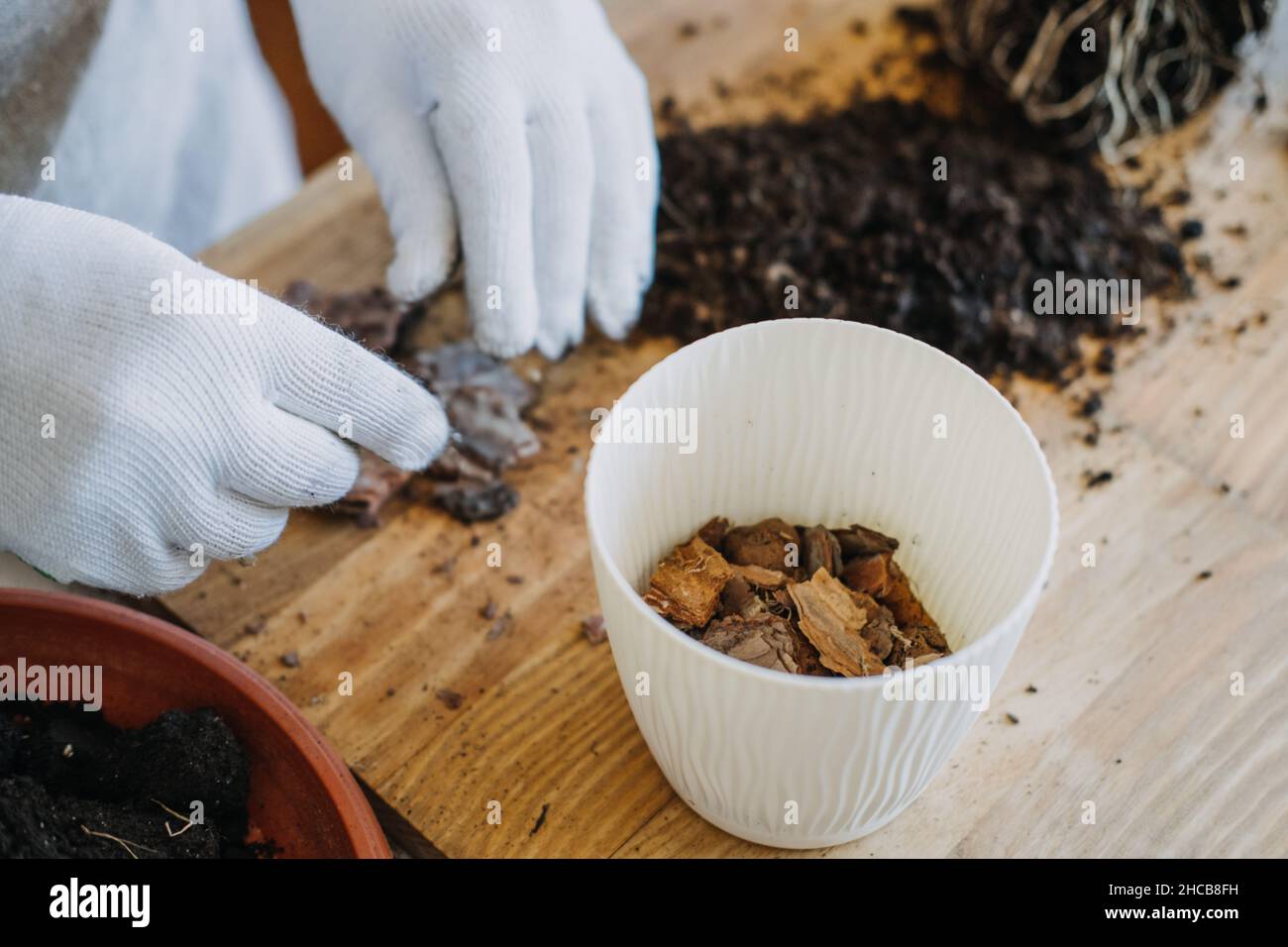 Spring Houseplant Care, repotting houseplants. Planting Houseplants In ... Spring Houseplant Care, repotting houseplants. Planting Houseplants In ...