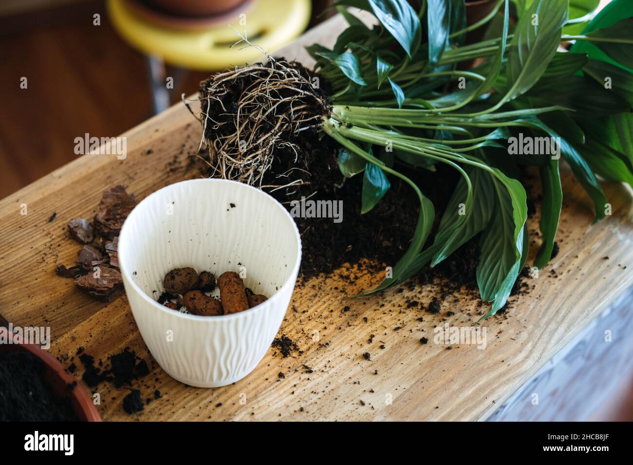 Hydrogranules hi-res stock photography and images - Alamy