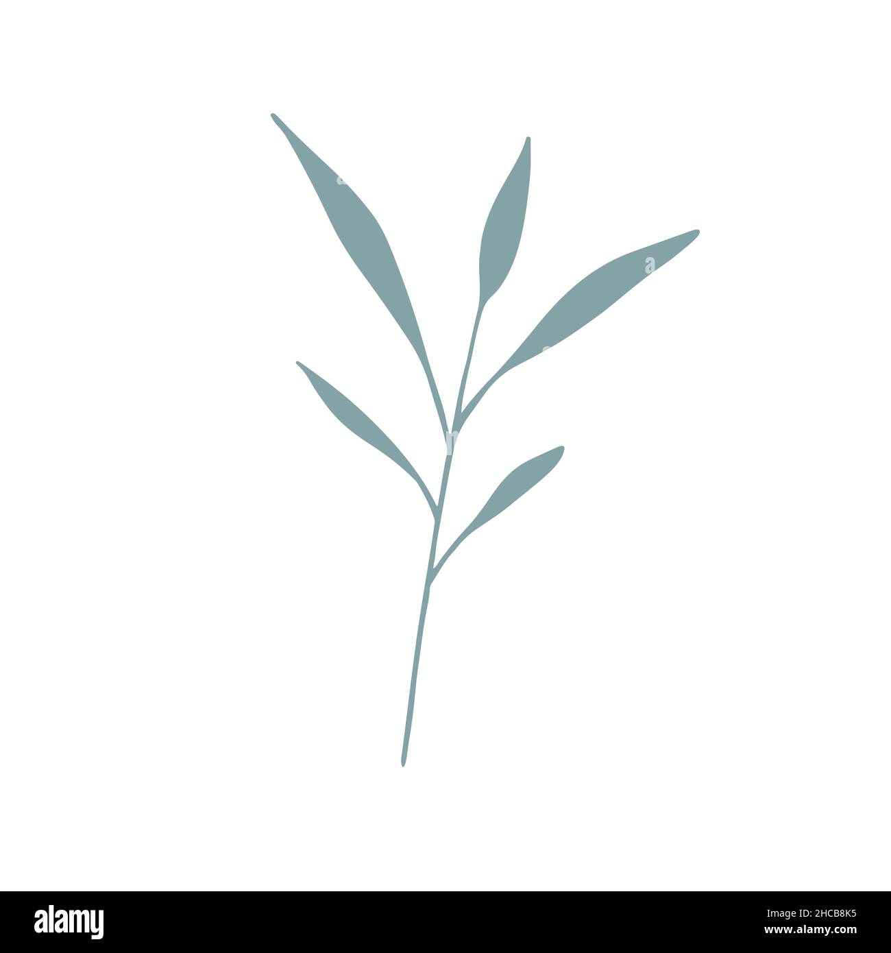 vector drawing by hand doodle twig, isolated Stock Vector Image & Art ...