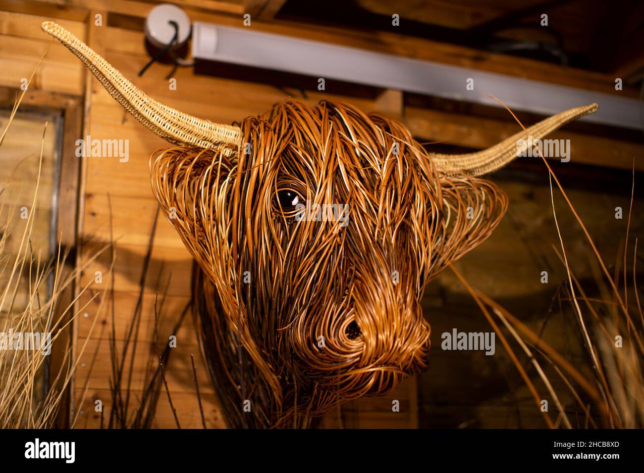 A distinctive animal head sculpture made by willow weaver Bob Johnston ...