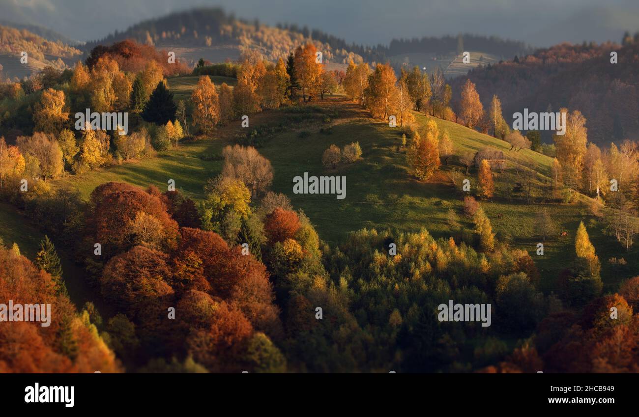 The forested mountains in autumn in Romania Stock Photo - Alamy