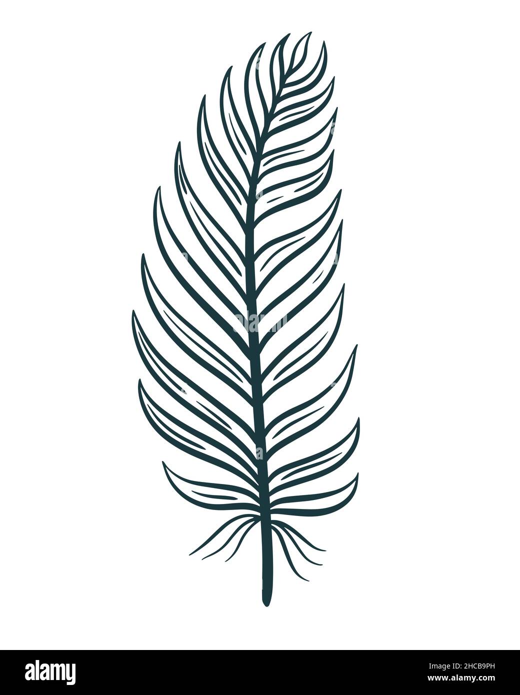 Stylized bird feather isolated vector illustration Stock Vector Image ...