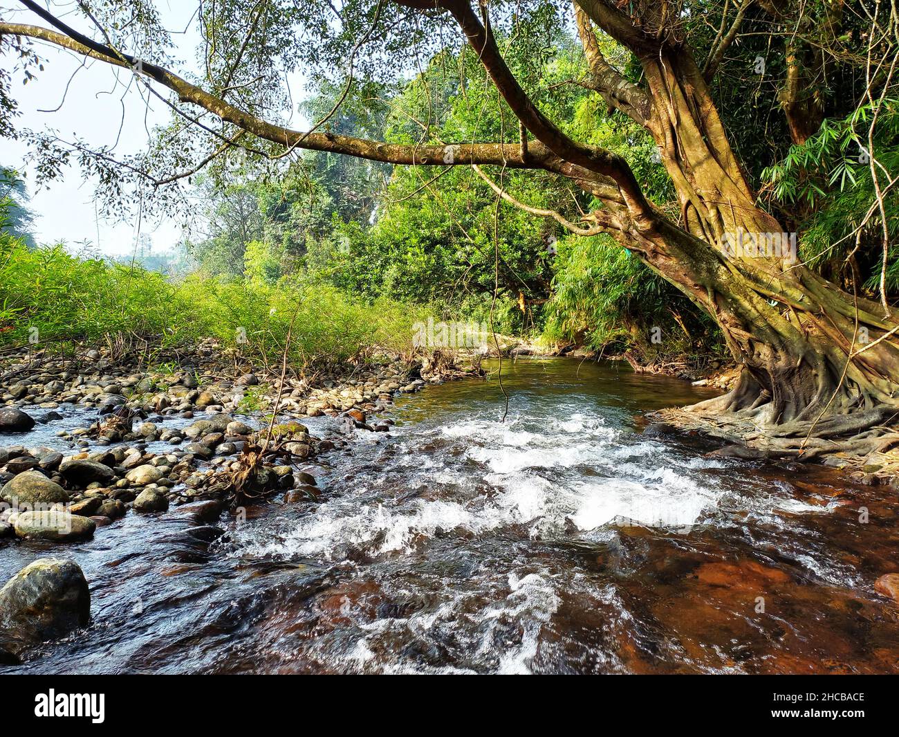 Underwater landslide hi-res stock photography and images - Alamy