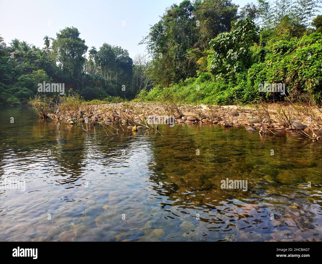 Fish factory india hi-res stock photography and images - Alamy
