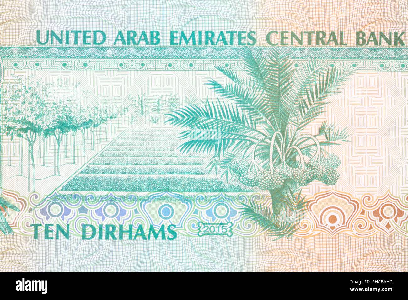 Date palm from United Arab Emirates money - Dirham Stock Photo - Alamy