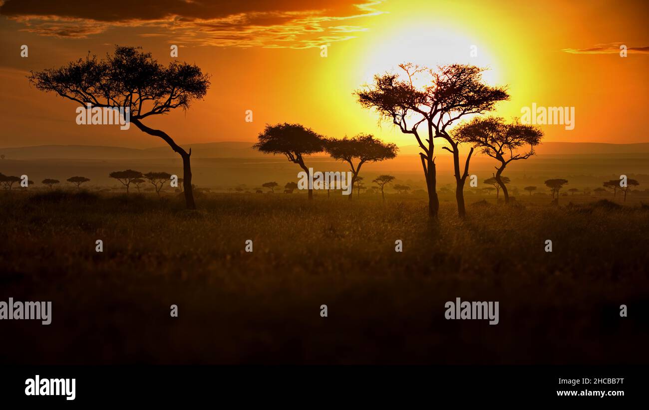 Beautiful sunset masai mara hi-res stock photography and images - Alamy