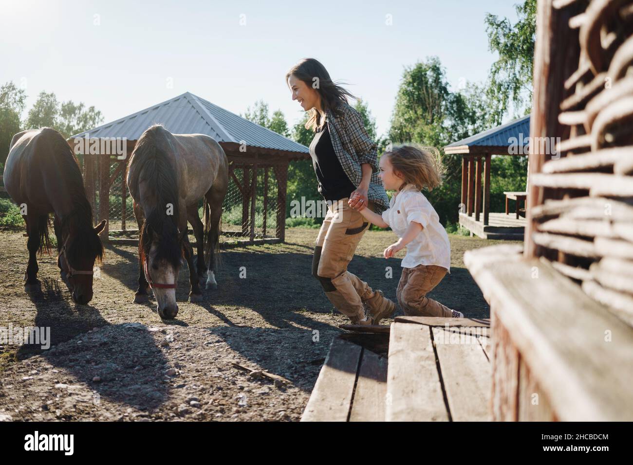 Farm animals running hi-res stock photography and images - Alamy