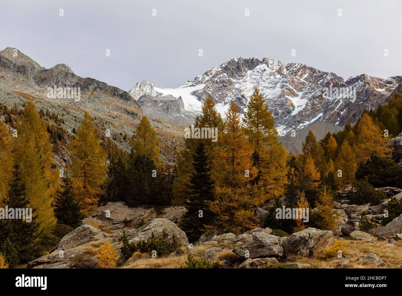 Autumn trees and mountains hi-res stock photography and images - Alamy