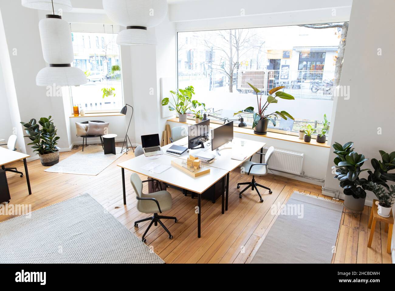 Potted plant at office window sill Stock Photo - Alamy