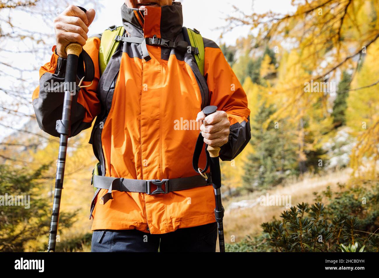 Male hiker hiking poles hi-res stock photography and images - Alamy