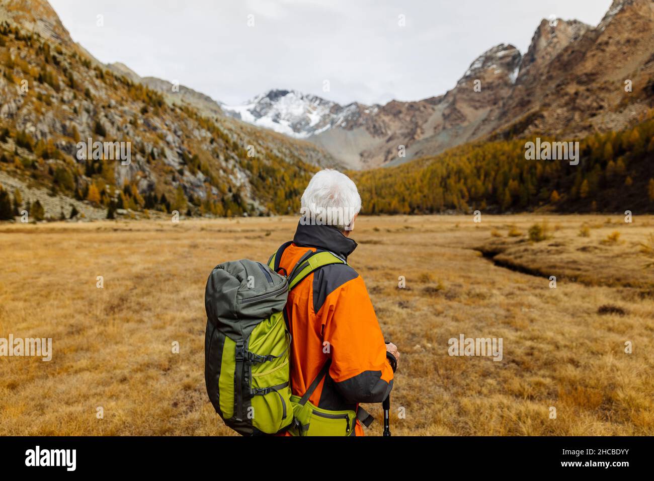 Senior backpacker looking mountains rhaetian alps hi-res stock ...