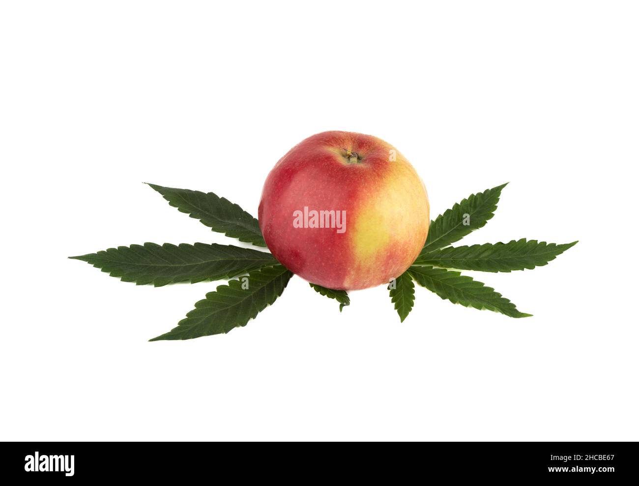 Apple and marijuana leaves on a white background. Copy space Stock ...