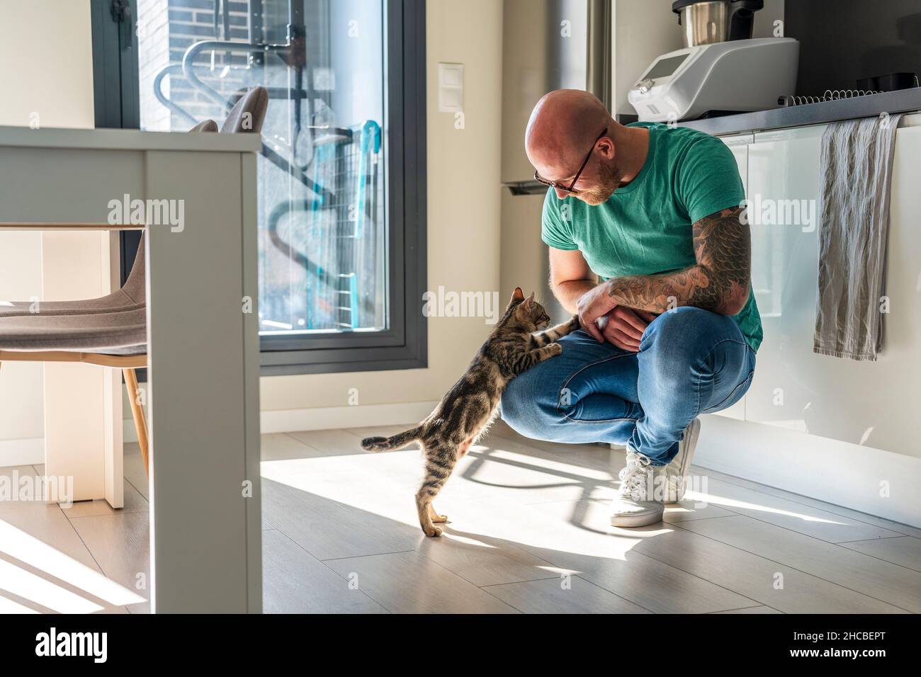Cat lap man hi-res stock photography and images - Alamy