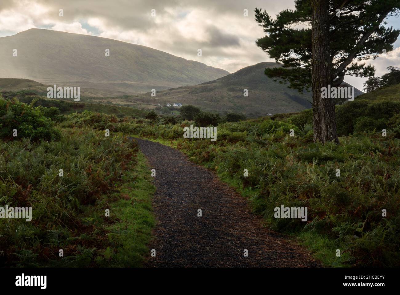 Walking trail at Wild Nephin National Park Ballycroy, Ireland. A ...