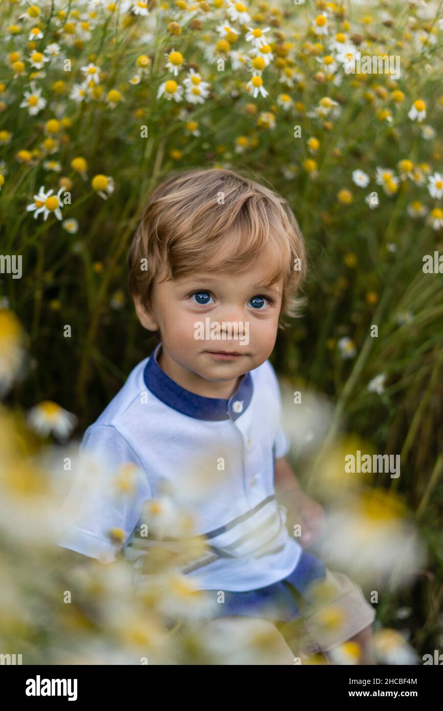 Cute blond boy sitting in meadow Stock Photo - Alamy