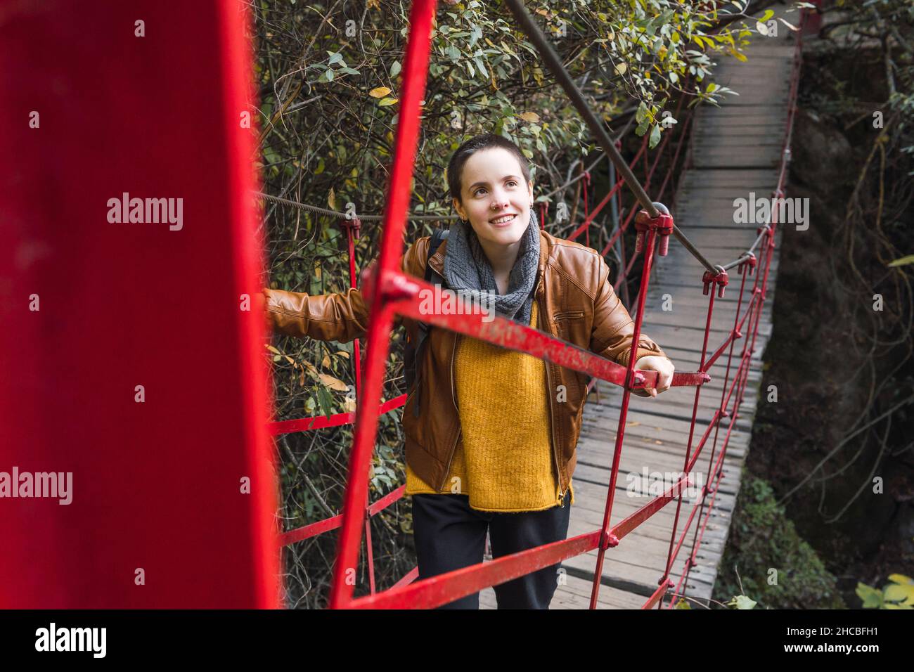 Forest rope bridge hi-res stock photography and images - Alamy