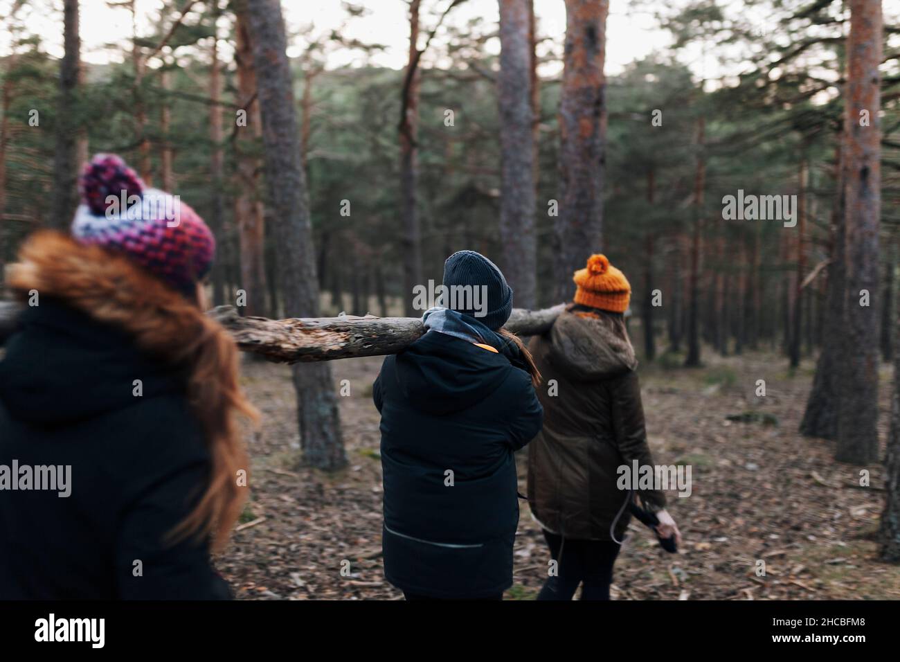 Friends carrying log on shoulders in forest Stock Photo - Alamy