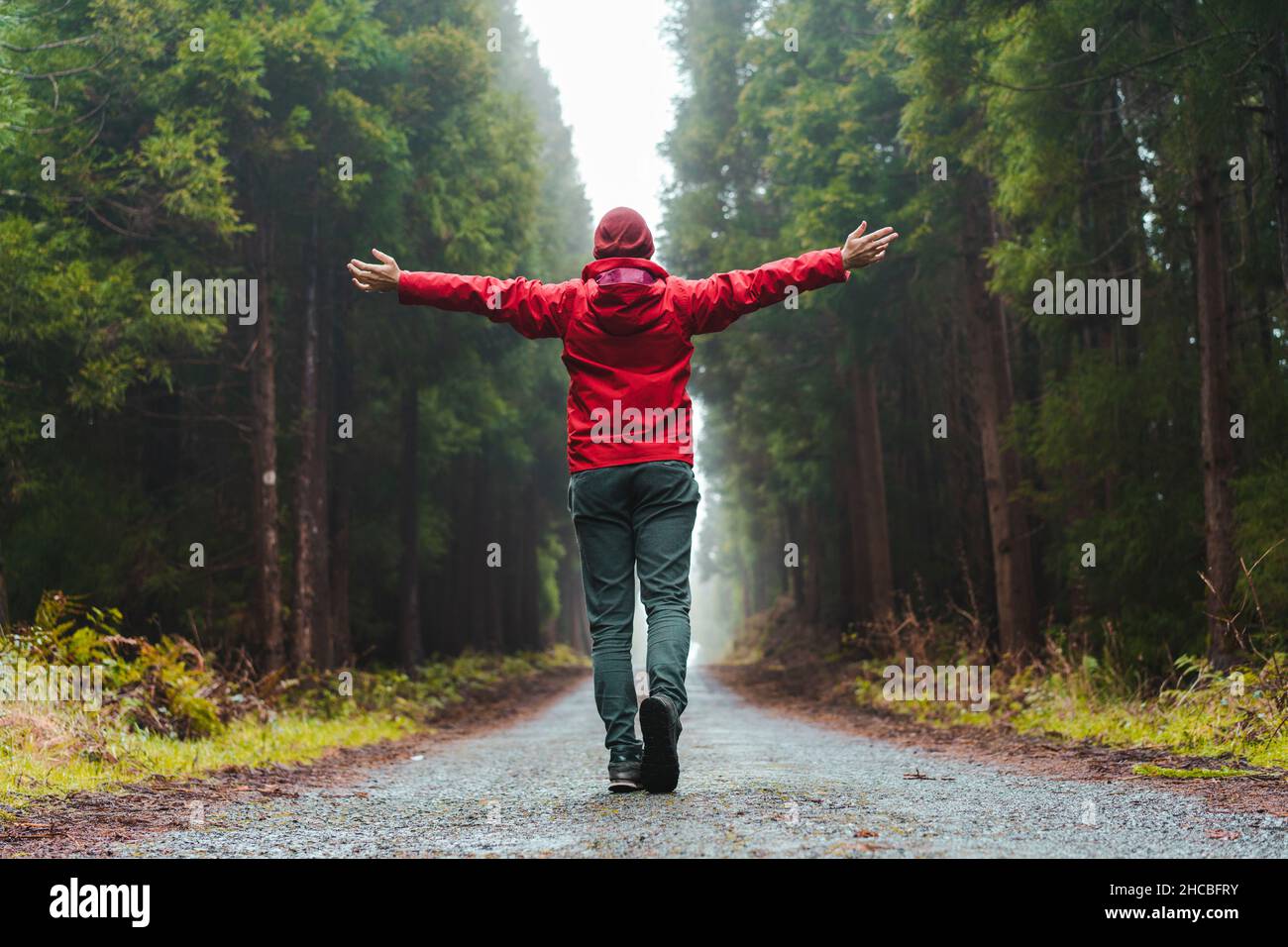 Man with arms outstretched walking on road at forest Stock Photo - Alamy