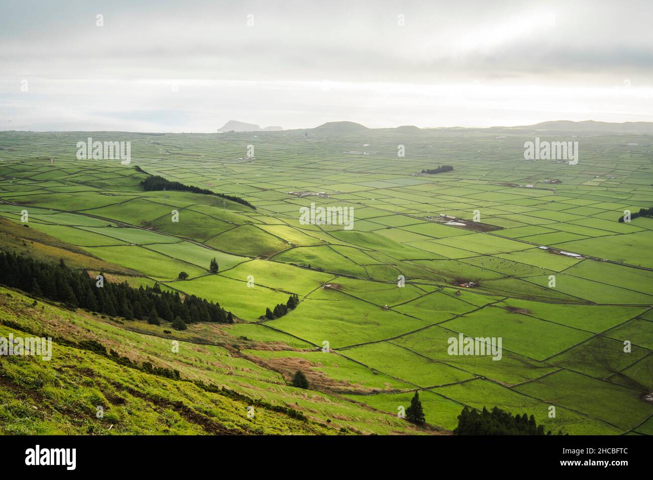 Scenic view of green agricultural field at Terceira Island, Azores ...