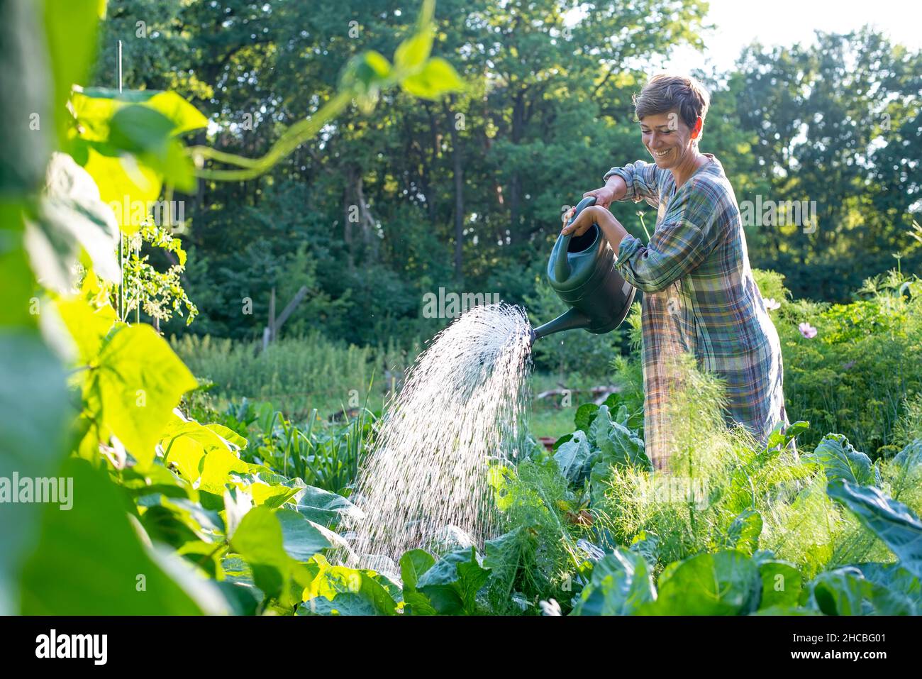 Smiling woman watering vegetables in organic farm Stock Photo - Alamy